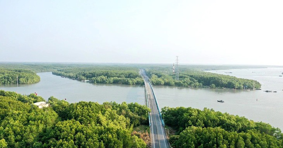 Rừng phòng hộ huyện Cần Giờ được đề cử thành khu Ramsar - Tuổi Trẻ Online