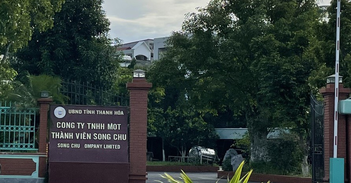 Vợ, con, người nhà của chủ tịch HĐTV Công ty Sông Chu xin thôi nhiệm vụ ...