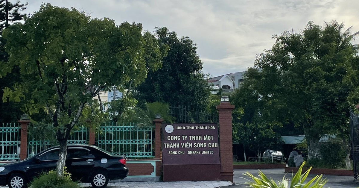 Làm rõ trách nhiệm vụ bổ nhiệm người thân ở Công ty Sông Chu - Tuổi Trẻ ...