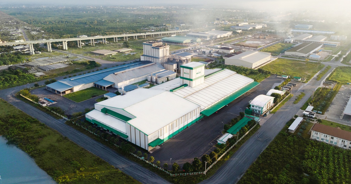 GREENFEED: 20 năm tăng trưởng bền vững - Tuổi Trẻ Online