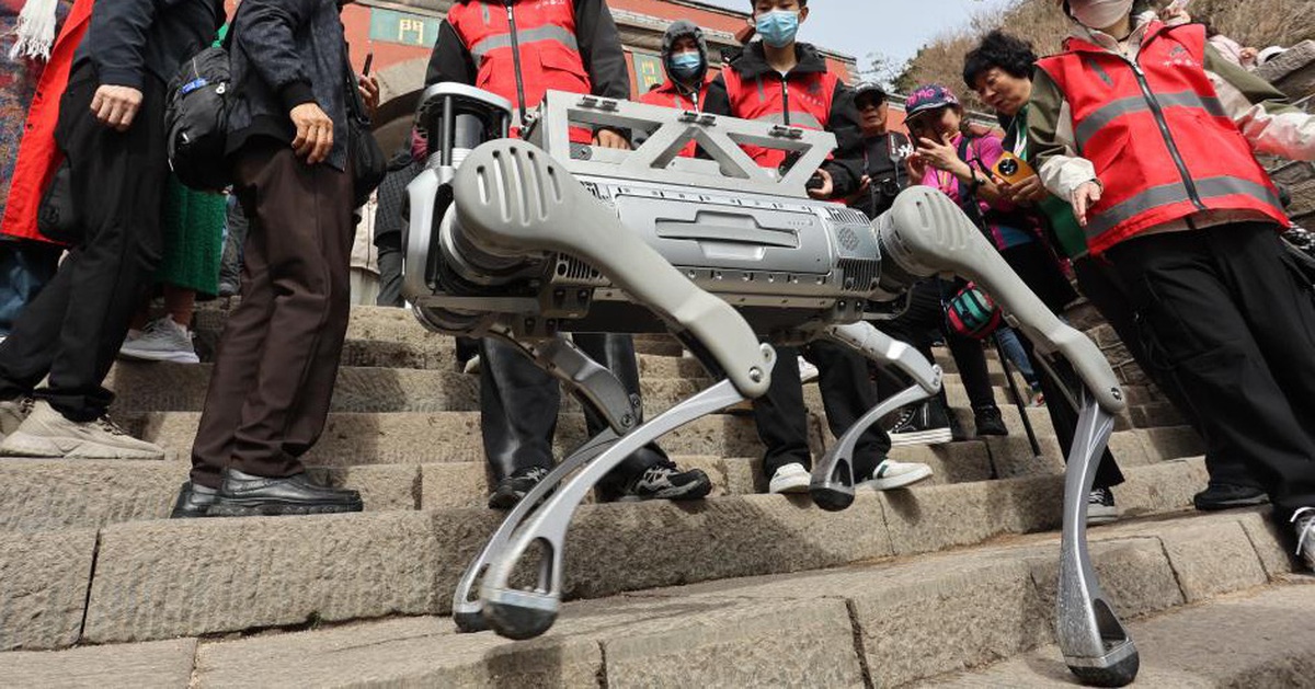 Du khách thích thú với chó robot dọn rác trên núi Thái Sơn, Trung Quốc ...