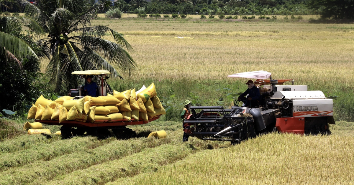 Khi nông dân biến sợi rơm thành sợi vàng - Tuổi Trẻ Online