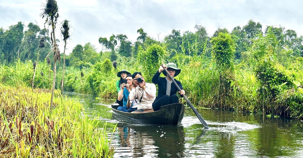 Du lịch miền Tây sông nước lại thiếu người am hiểu về đồng bằng sông ...