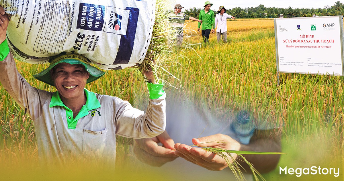 Đổi đời nhờ sợi rơm vàng - Tuổi Trẻ Online