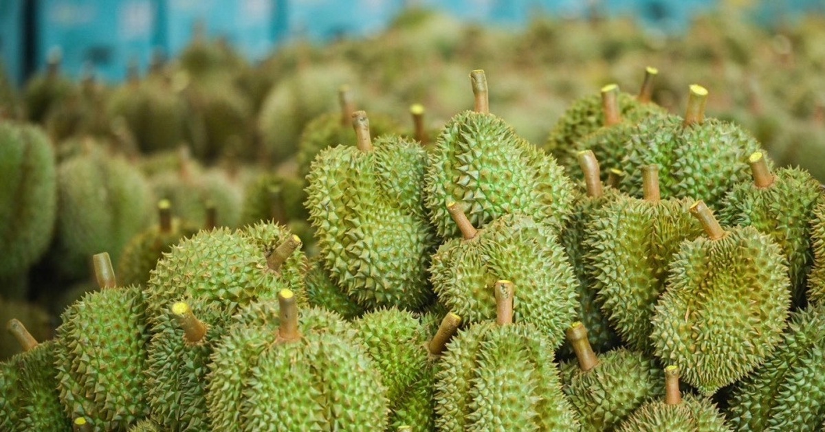 Hiệp hội Rau quả thông tin khẩn cấp, phản đối mạnh mẽ giả mạo mã số ...