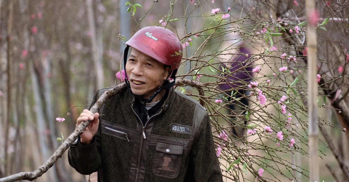 Hà Nội tổ chức 70 điểm chợ hoa xuân trong dịp Tết - Tuổi Trẻ Online