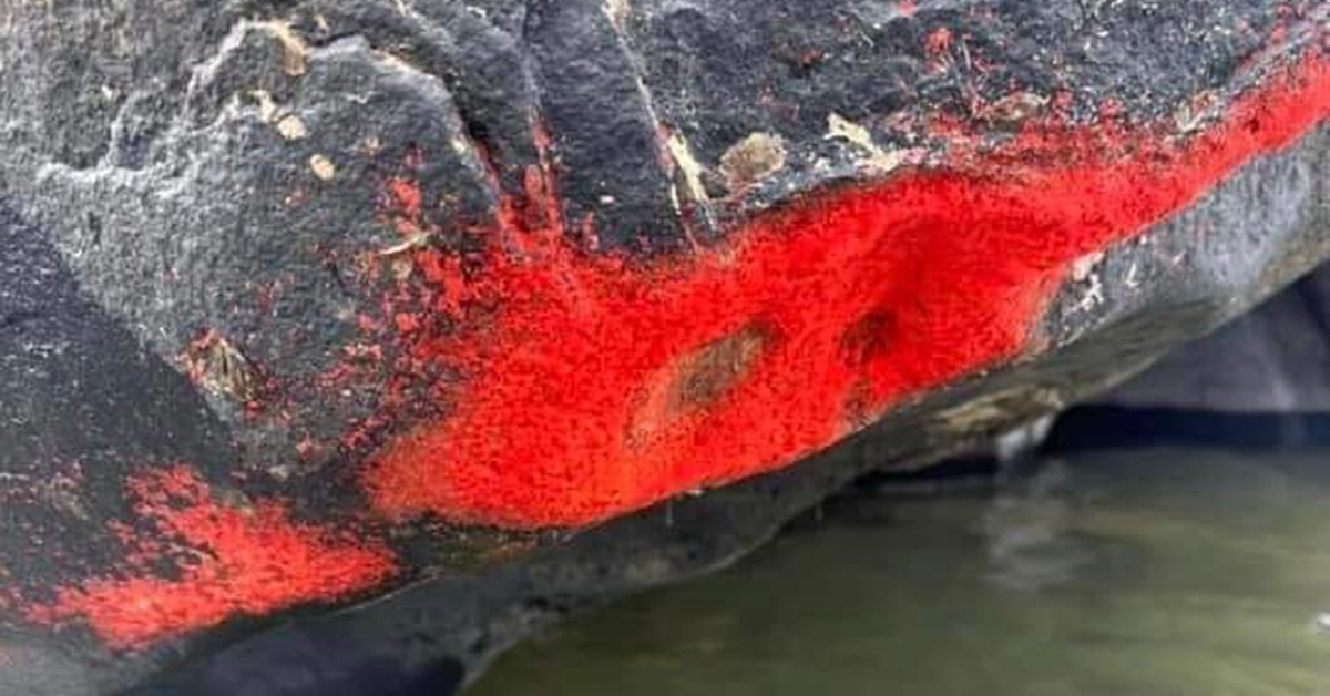 Tảng đá đỏ chót như 'nở hoa' khiến dân mạng xôn xao, chính quyền nói gì ...