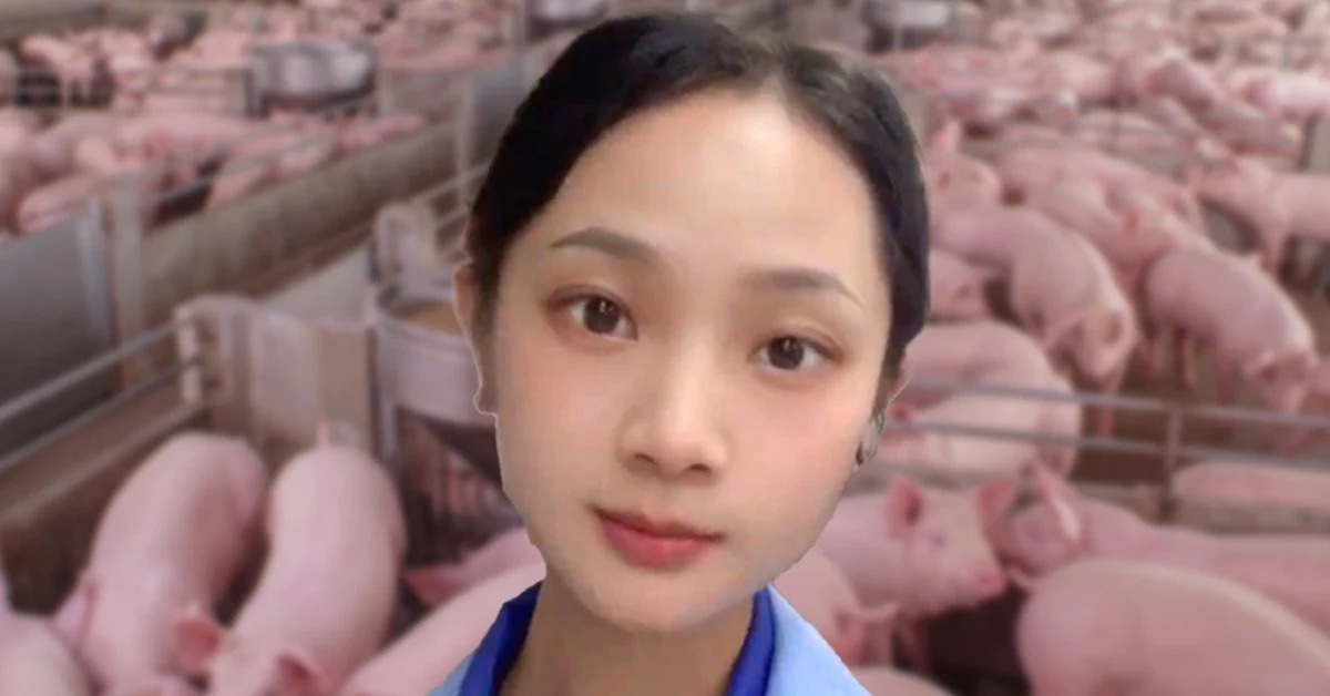 Trở thành hiện tượng mạng nhờ về quê nuôi heo - Tuổi Trẻ Online