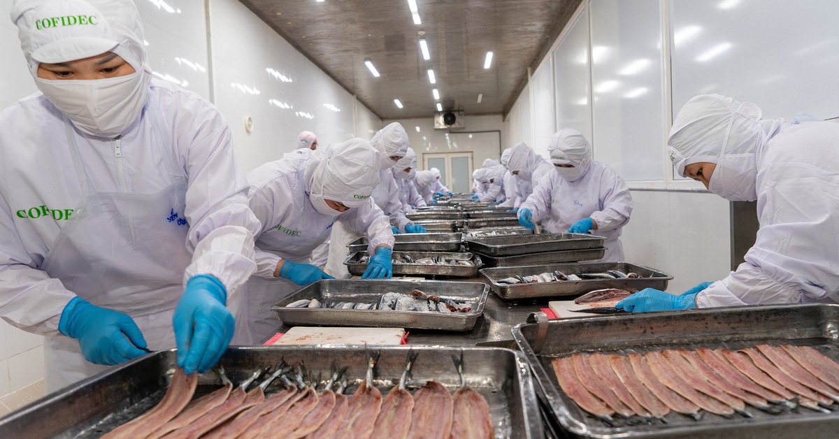 Cofidec: Sẽ đa dạng hóa thị trường xuất khẩu, tăng doanh thu - Tuổi Trẻ ...