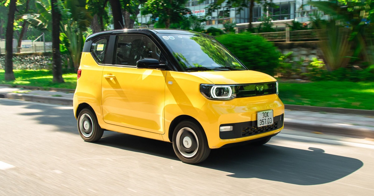 Nhà phân phối Wuling Mini EV nói gì khi kiểm toán nghi ngờ khả năng ...