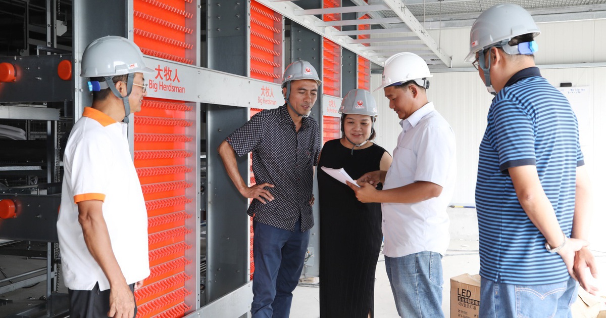 Mebi Farm - ứng dụng công nghệ cao vào chăn nuôi gà đẻ trứng - Tuổi Trẻ ...