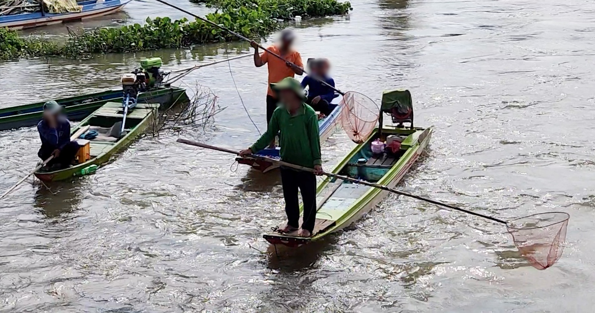 Mạng xã hội phản ánh nạn xuyệt điện bắt cá tại cống Tha La, An Giang ...