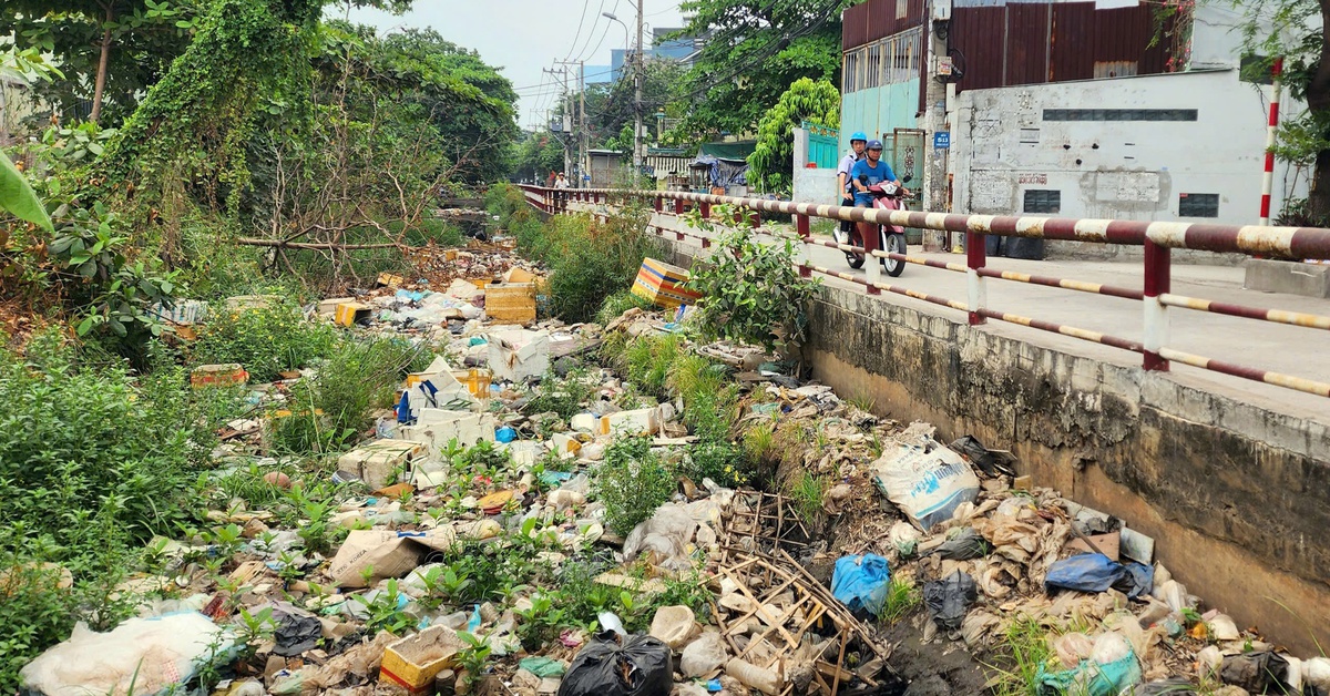 Rác dồn ứ, bốc mùi trên kênh rạch ở quận Bình Tân - Tuổi Trẻ Online