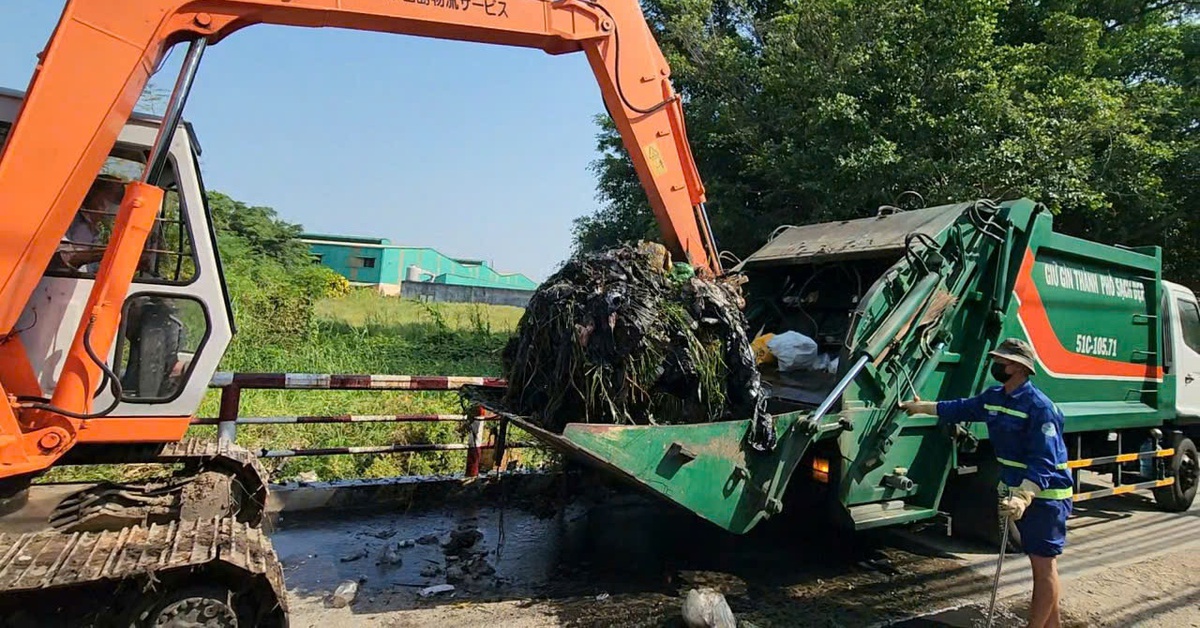6 ngày, dọn hơn 100 tấn rác trên kênh rạch ở quận Bình Tân - Tuổi Trẻ ...