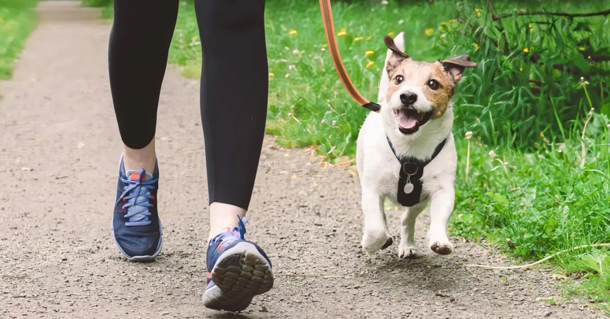 Công viên có thể làm lây bệnh nhiễm ký sinh trùng - Tuổi Trẻ Online