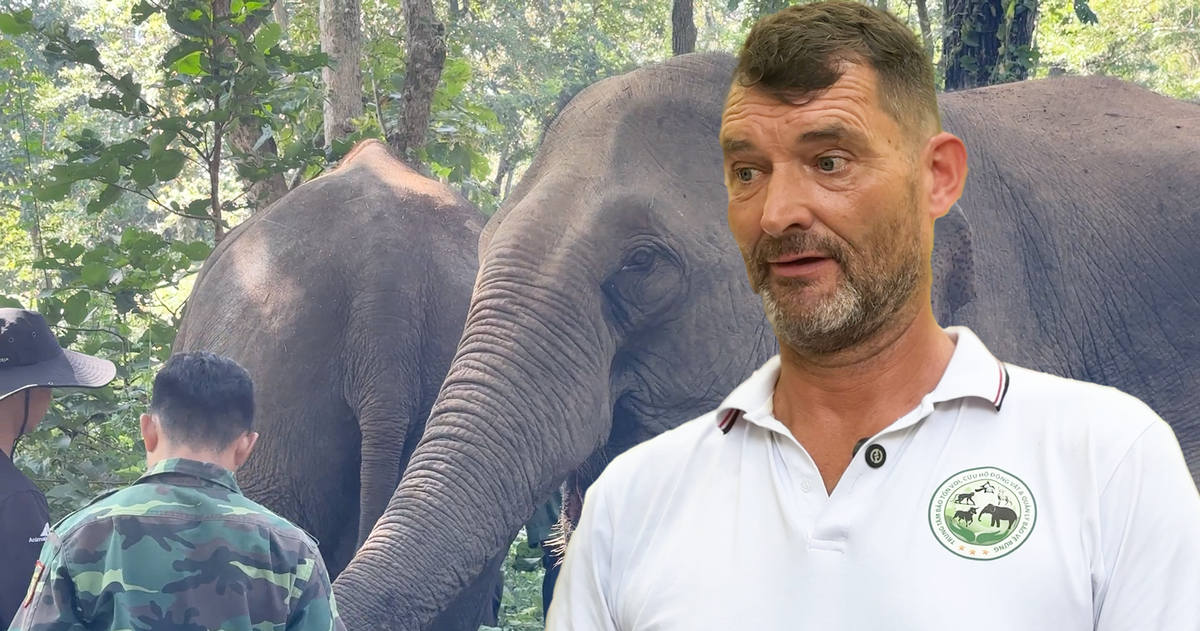 Chuyên gia voi Châu Á kể về cơ duyên gắn bó với voi Đắk Lắk - Tuổi Trẻ ...