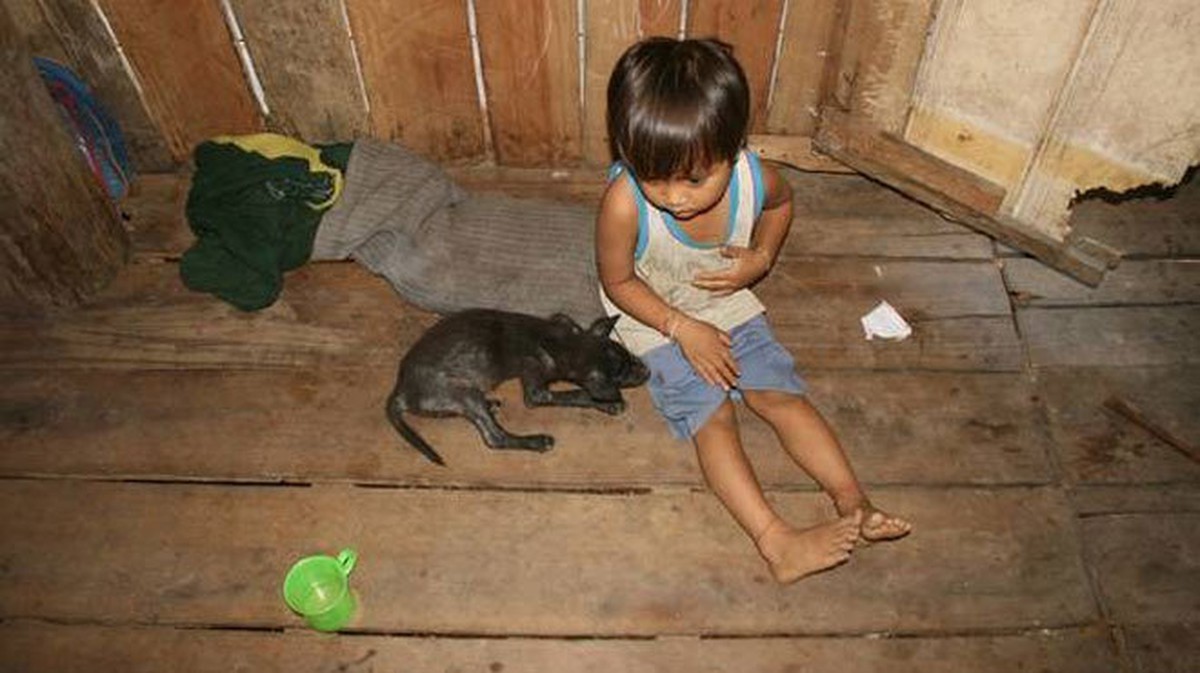 Côi cút trong vùng "bệnh lạ" - Tuổi Trẻ Online