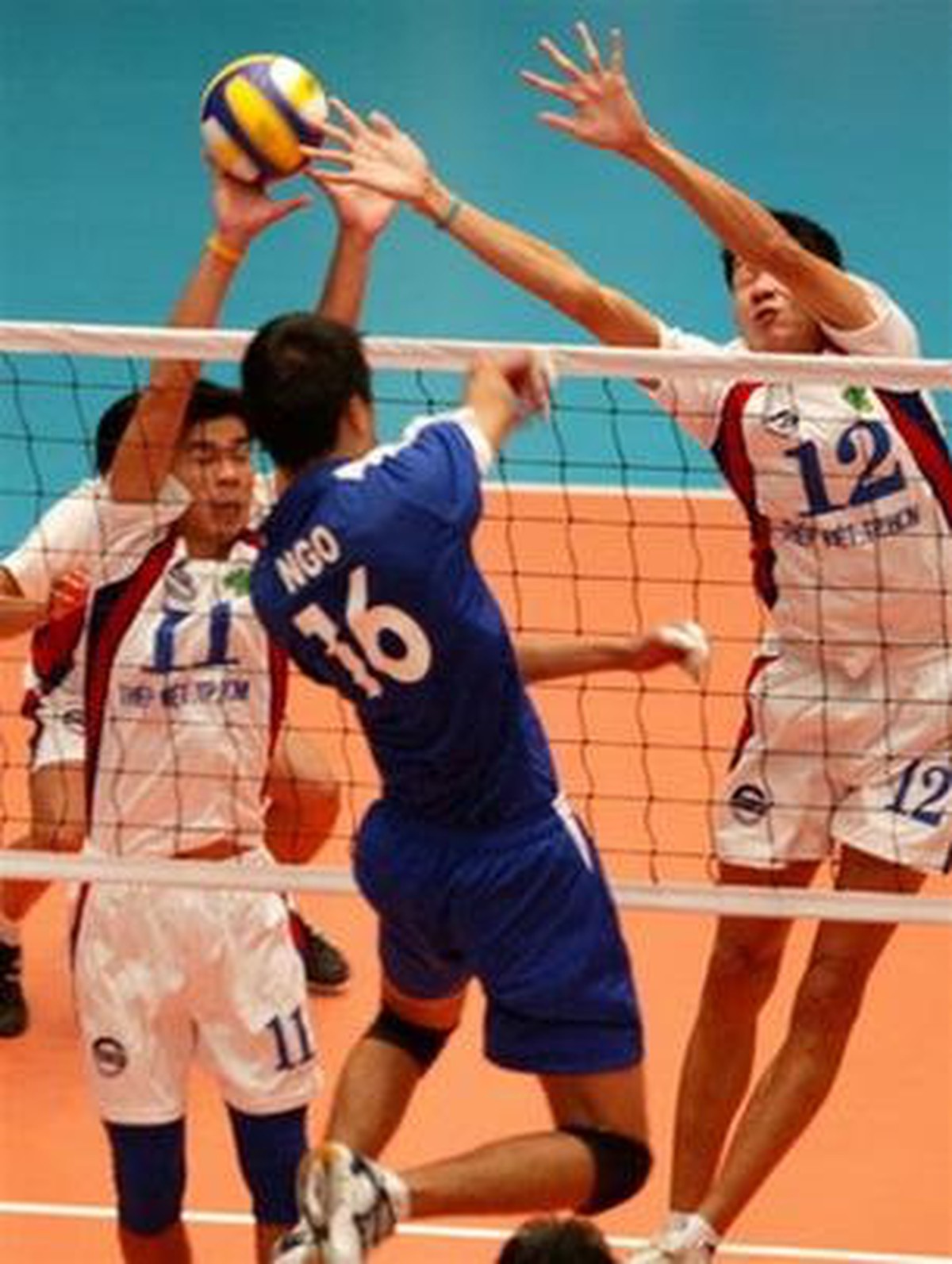 Khởi tranh Giải bóng chuyền quốc tế - Sting cup 2007 - Tuổi Trẻ Online