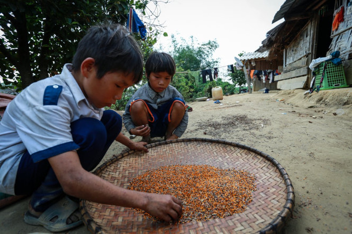 3 chị em côi cút - Tuổi Trẻ Online