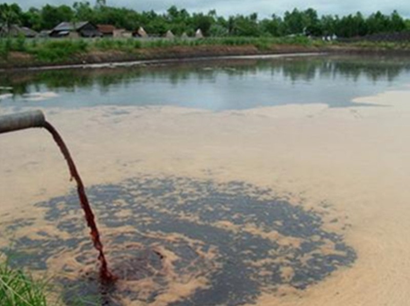 Ô nhiễm cadimi và sức khỏe con người - Tuổi Trẻ Online