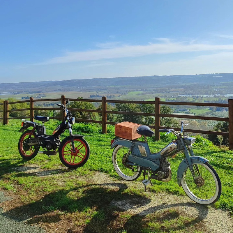 Nhìn gương Honda Super Cub 50 bị khai tử, Suzuki làm xe mobylette ...