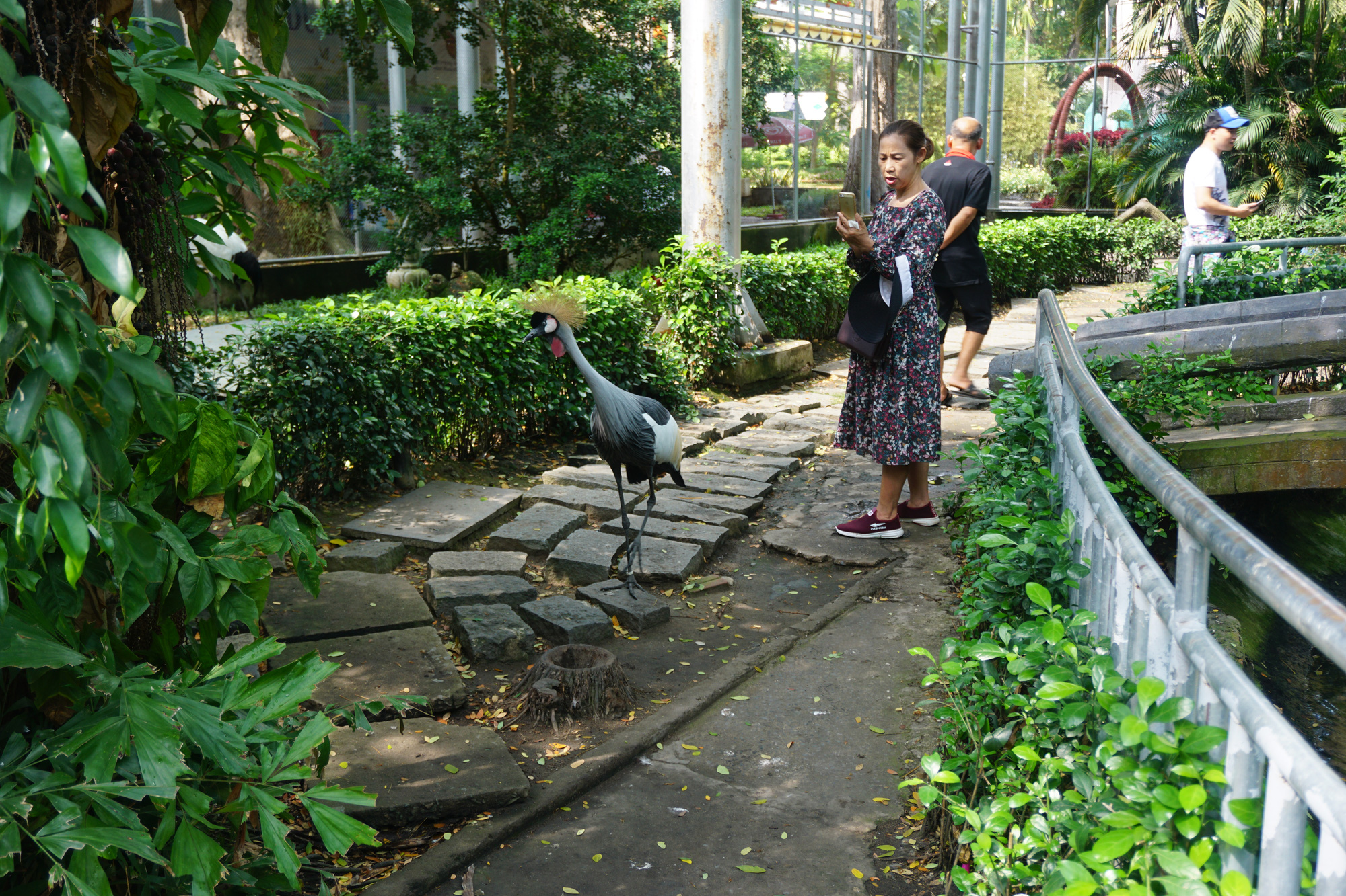 Vietnam’s oldest zoo seeks support to overcome difficulties caused by ...