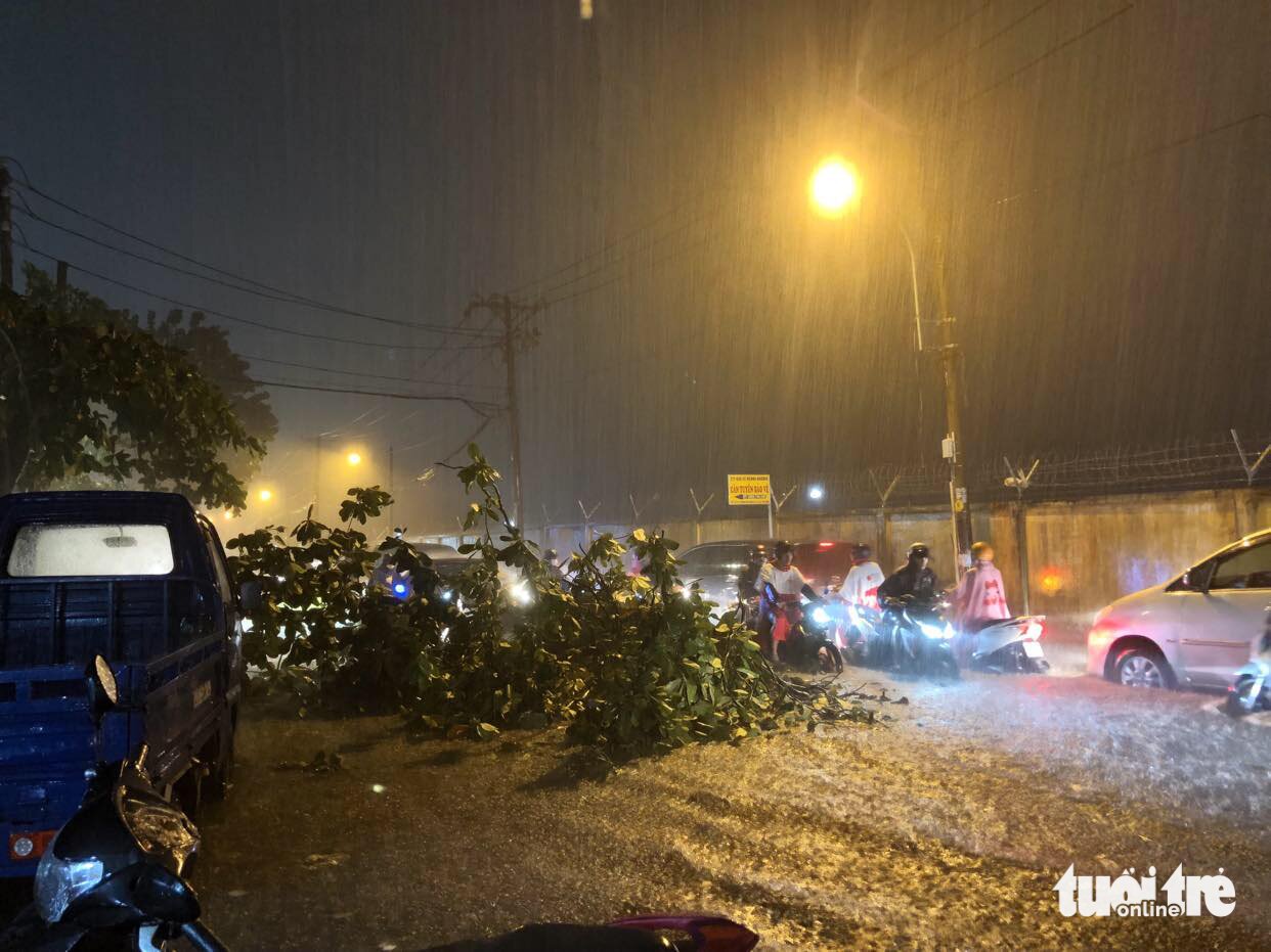 Many parts of Ho Chi Minh City heavily flooded after hour-long rain