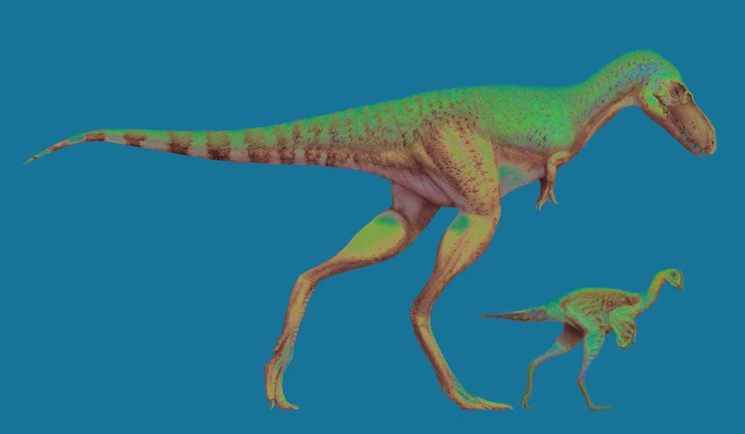 Fossils show dismembered young dinosaurs in belly of T. rex cousin