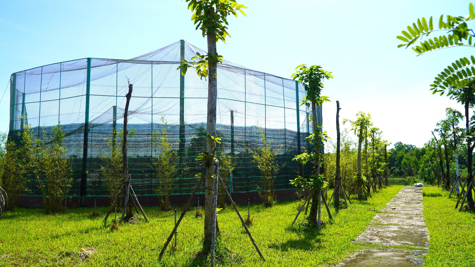 Vietnam’s Dong Thap approves $470,500 for red-crowned crane aviary ...