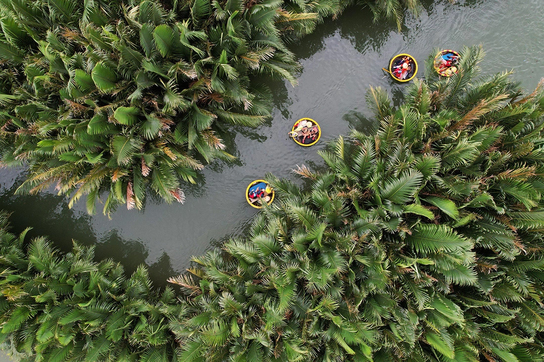Drone captures stunning snapshots of central Vietnam’s Cam Thanh nipa ...