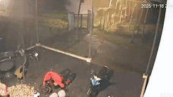 Nhiều nơi ở Huế, Khánh Hòa, Đắk Lắk ngập sâu sau đêm mưa lớn - Tuổi Trẻ ...