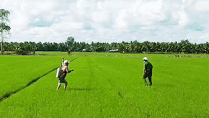 Tin tức, video mới nhất về "Hưng Vlog" trên Tuổi Trẻ Online