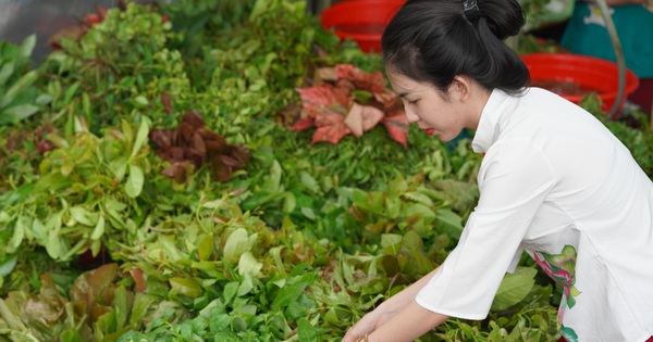 Podcast: Lên Núi Cấm, nhấm tuyệt đỉnh rau rừng - Tuổi Trẻ Online