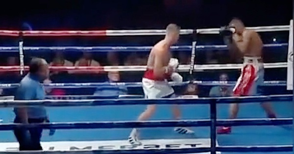 Võ sĩ hổ báo bị đối thủ hạ knock out