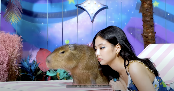 Jennie BLACKPINK là fan cứng của 'bộ trưởng ngoại giao' Capybara