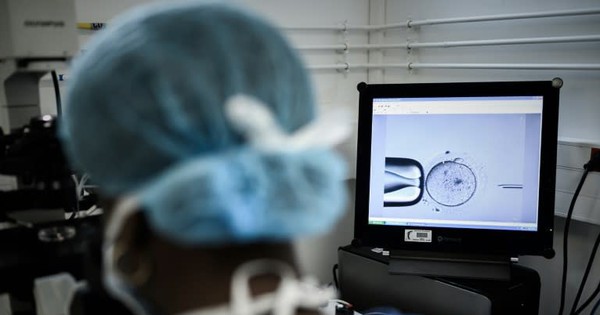 Australian IVF clinic admits embryo mix-up