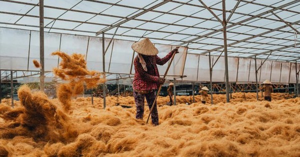 Picturesque photo series of Ben Tre by Ho Chi Minh City photographer