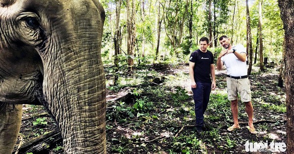 This British man devotes his life to elephants in Vietnam’s Dak Lak