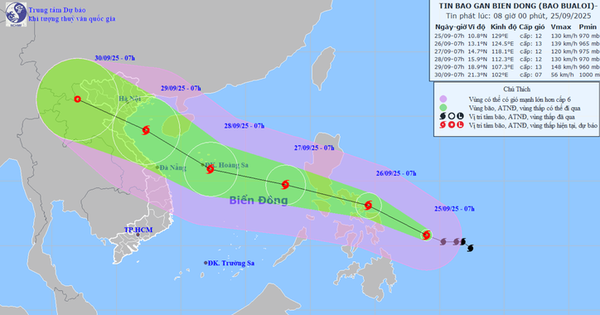 Storm Bualoi might reach level 12 over East Vietnam Sea