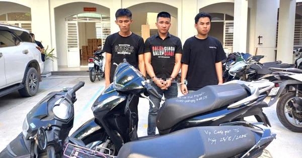 Police arrest gang for robbing foreign tourists in Da Nang