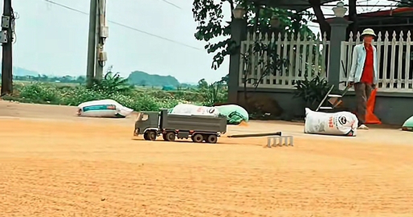 Chiếc xe cào lúa 'cây nhà lá vườn' của con trai khiến bố mẹ mát lòng mát dạ