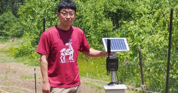 Japan testing AI-powered system to automatically repel bears