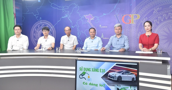 Vietnamese consumers urged to use E10 biofuel as experts highlight ...
