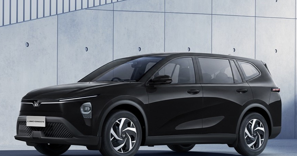 Vietnamese EV maker VinFast teams up with international partners to ...