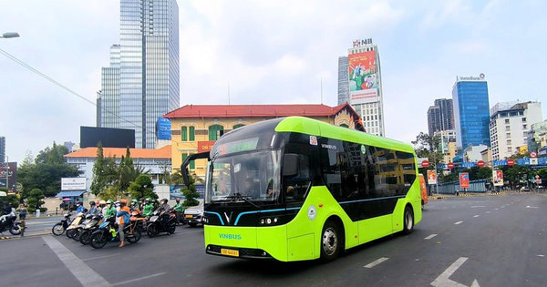 Ho Chi Minh City to offer free bus rides on 134 routes from July 1