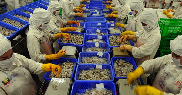 US zeros anti-dumping tariffs for Vietnamese shrimp