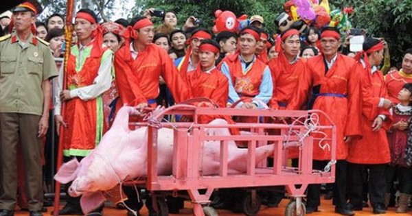 Vietnam ministry says against brutal festivals amid NGO’s pig slaughter ...