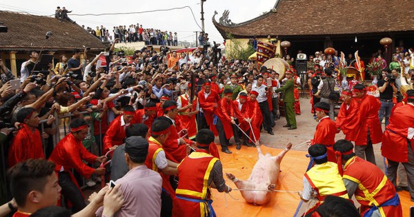 Vietnam province ignores public outcry to enact pig slaughter ritual (pics)