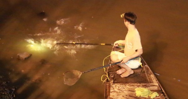 Anglers ‘massacre’ fish via electrocuting along Ho Chi Minh City canal