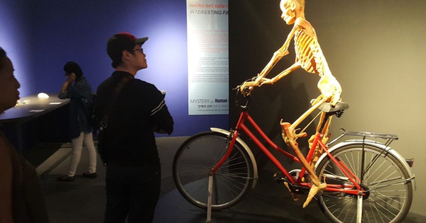 Preserved body, organ exhibition raises eyebrows in Ho Chi Minh City